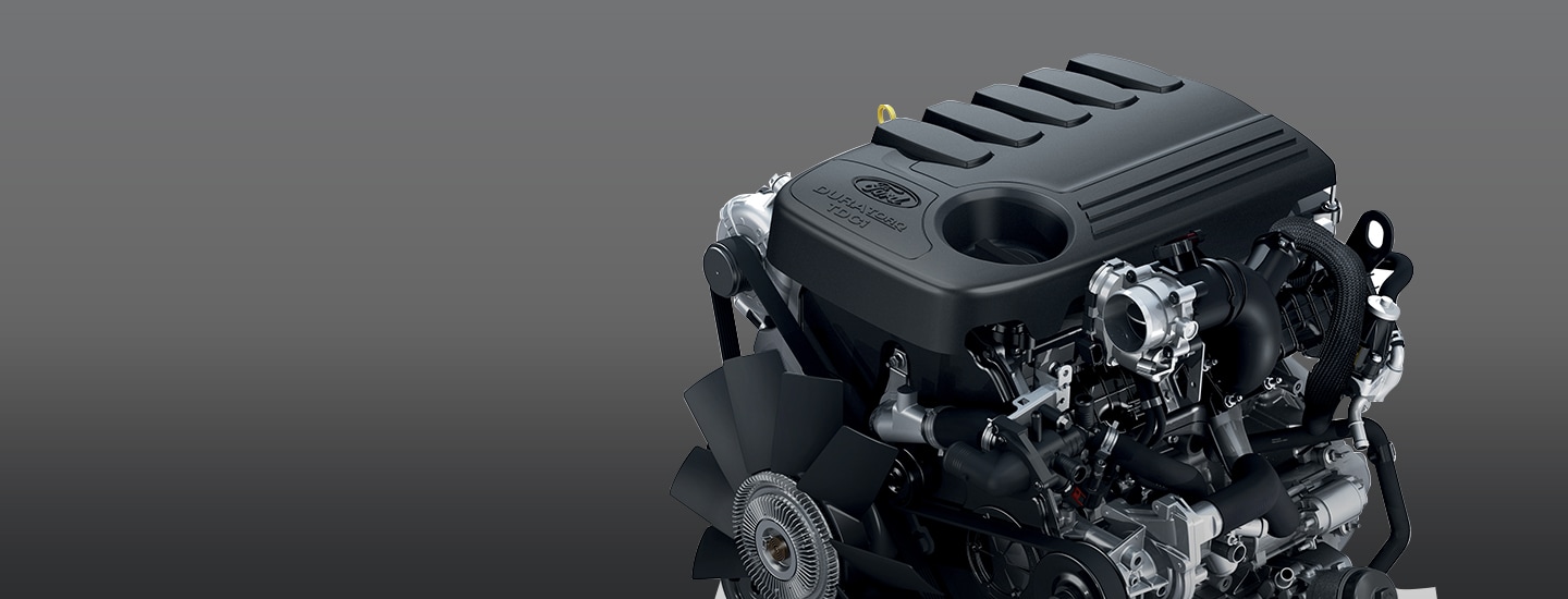 Ranger Overview | 4x4 & 4x2 Commercial Trucks | Ford NZ